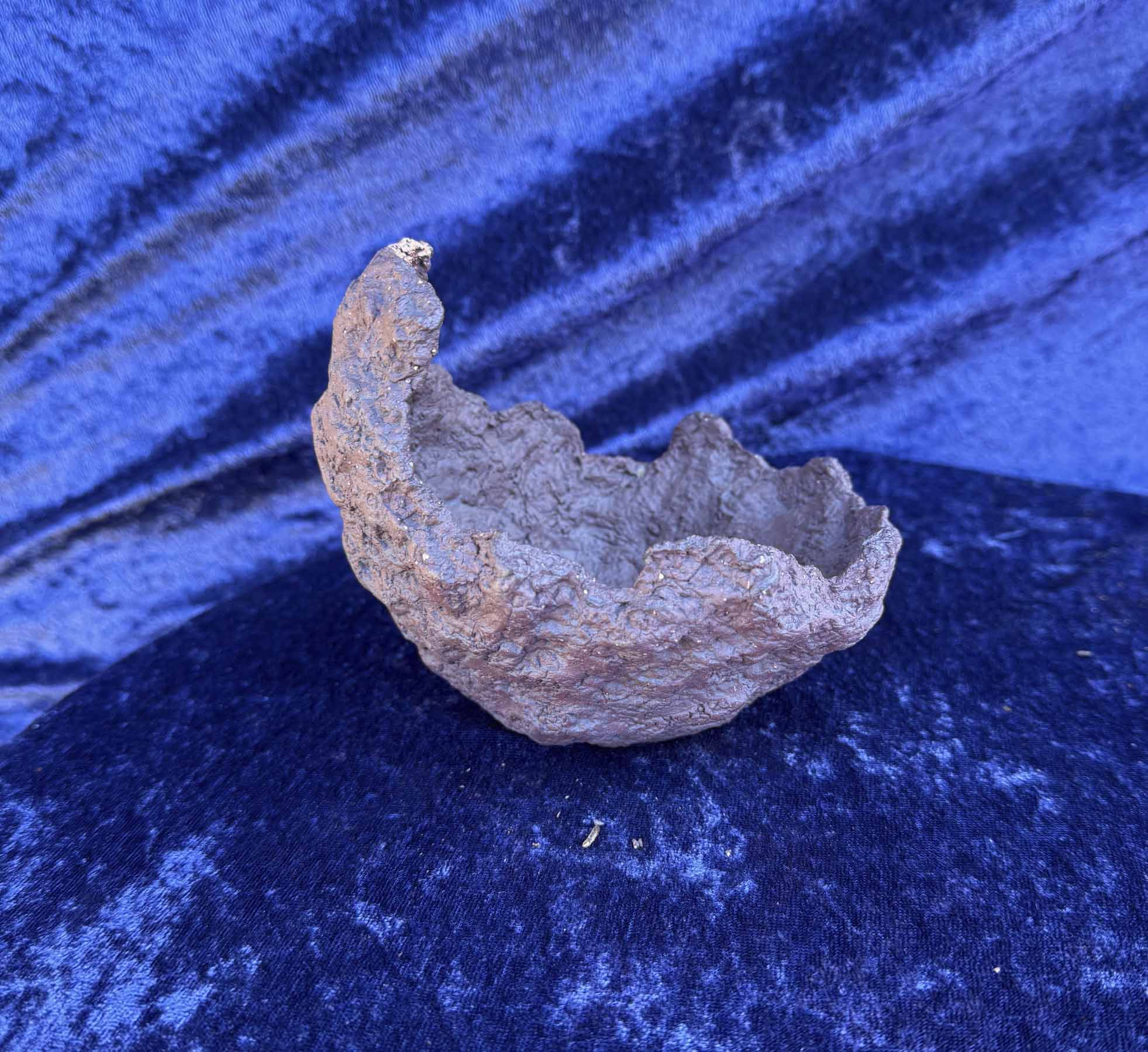 Bonsai Ceramic Shell !!! NEW !!! - Bonsaivaerkstedet.com